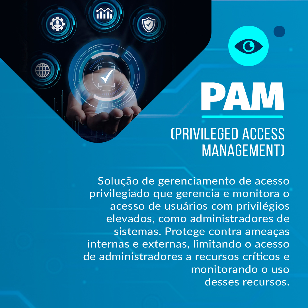 Protiviti - Segregação de funções