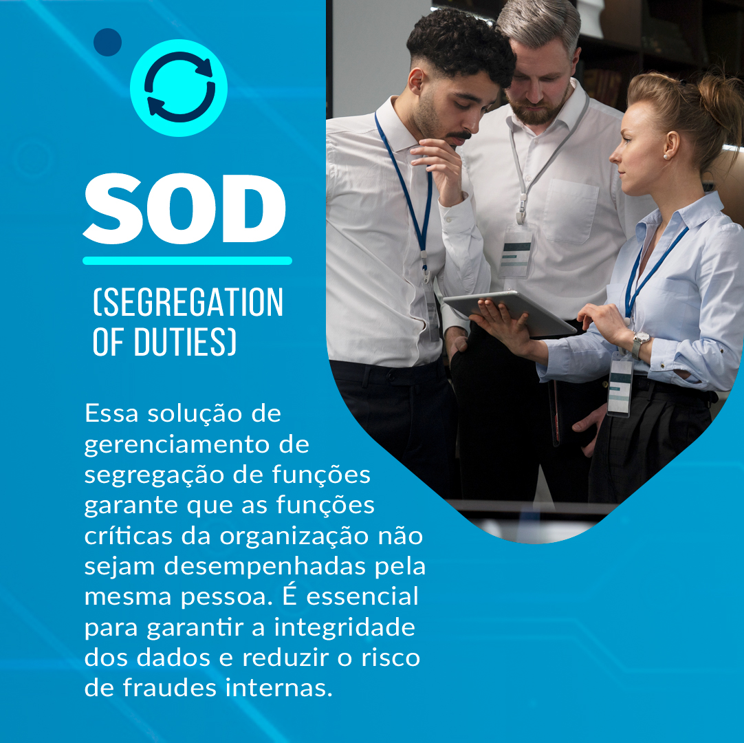 Protiviti - Segregação de funções