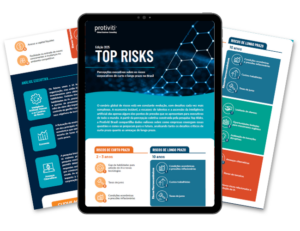 Protiviti - Top Risks 2025